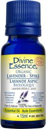 Organic Lavender-Spike - Essential Oil
