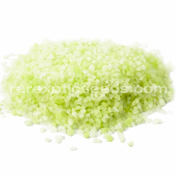 Buy Polyter© : Hydro Retaining Fertilizer