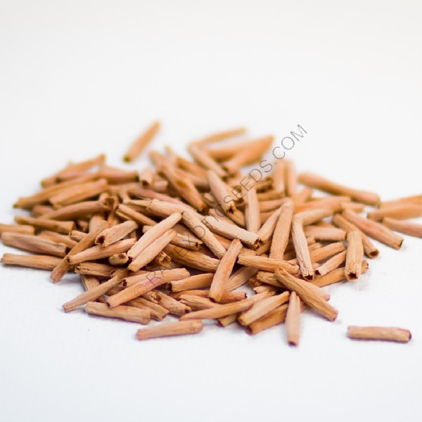 Adenium Obesum Seeds - Adenium Beauty Cloud Seeds