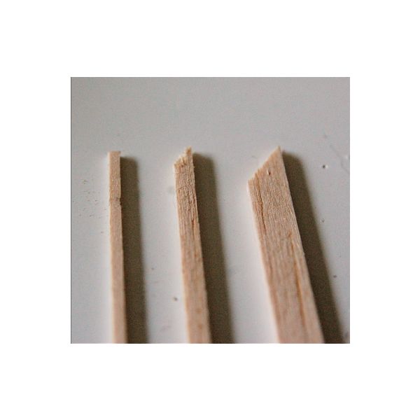 Buy Balsa Tree Seeds (Ochroma pyramidale) – Fast-growing Tropical Tree