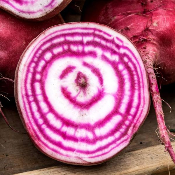 Buy Organic Chioggia Beets Seeds | Heirloom Beets with Striking Colors